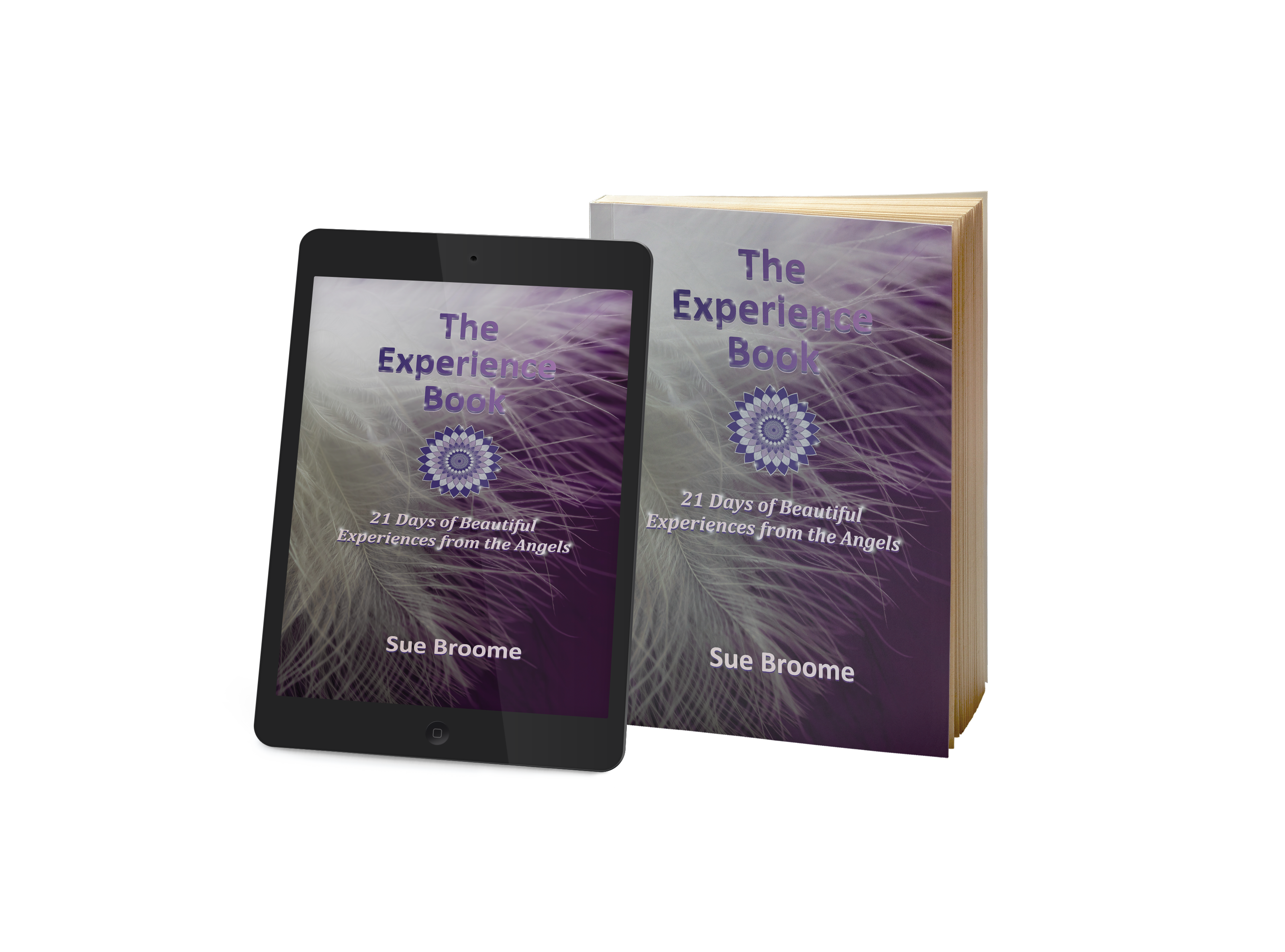 The Experience Book – Launch Team | Connect with Angels, Spirit Guides ...